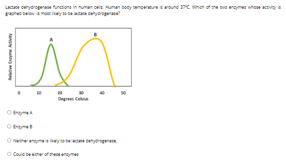 Solved Lactate dehydrogenase functions in human cells. Human | Chegg.com