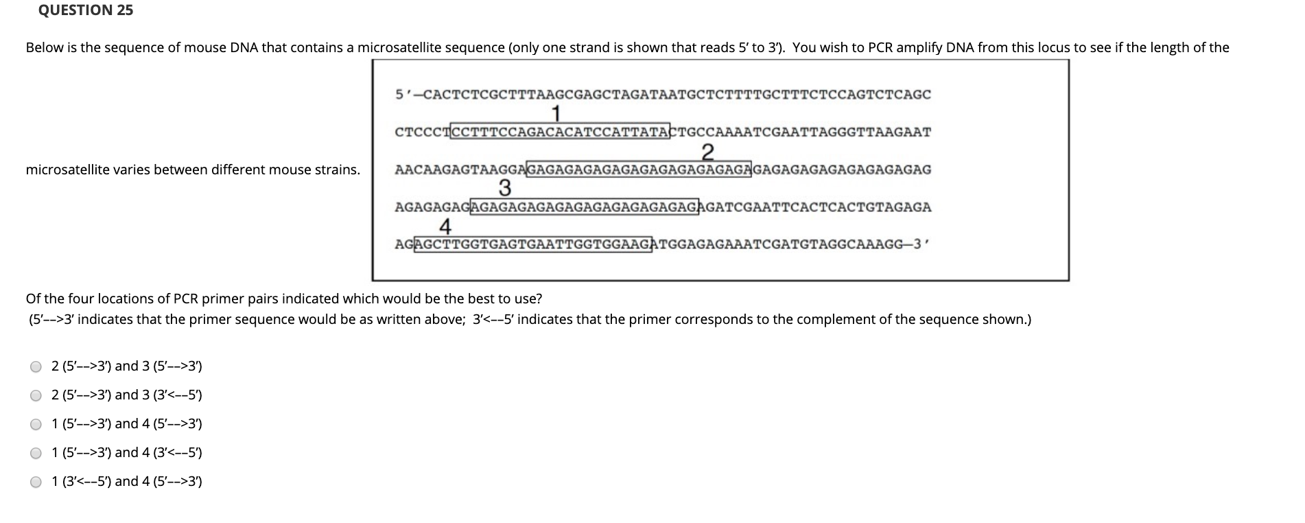 Solved QUESTION 25 Below is the sequence of mouse DNA that | Chegg.com