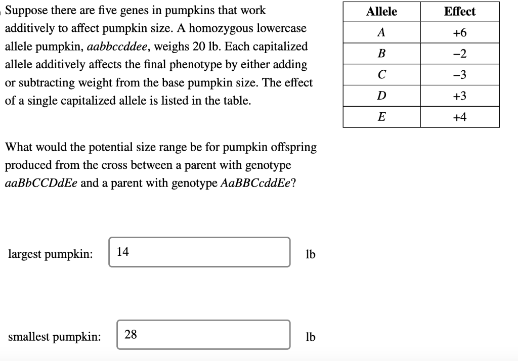 Solved Suppose there are five genes in pumpkins that work | Chegg.com
