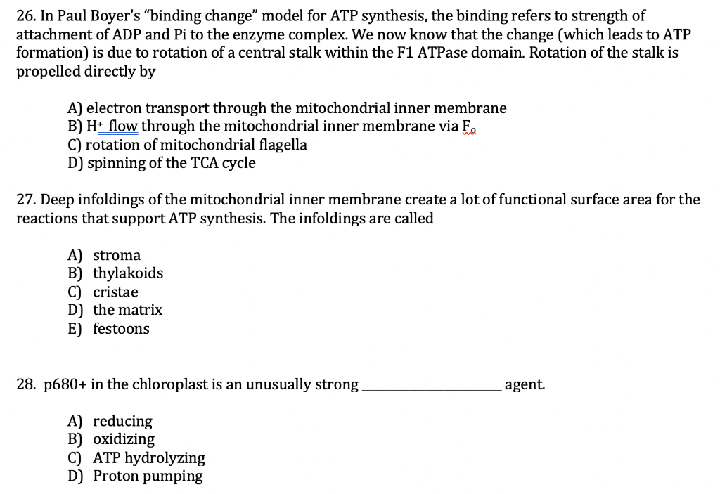 Solved 26. In Paul Boyer's “binding change” model for ATP | Chegg.com