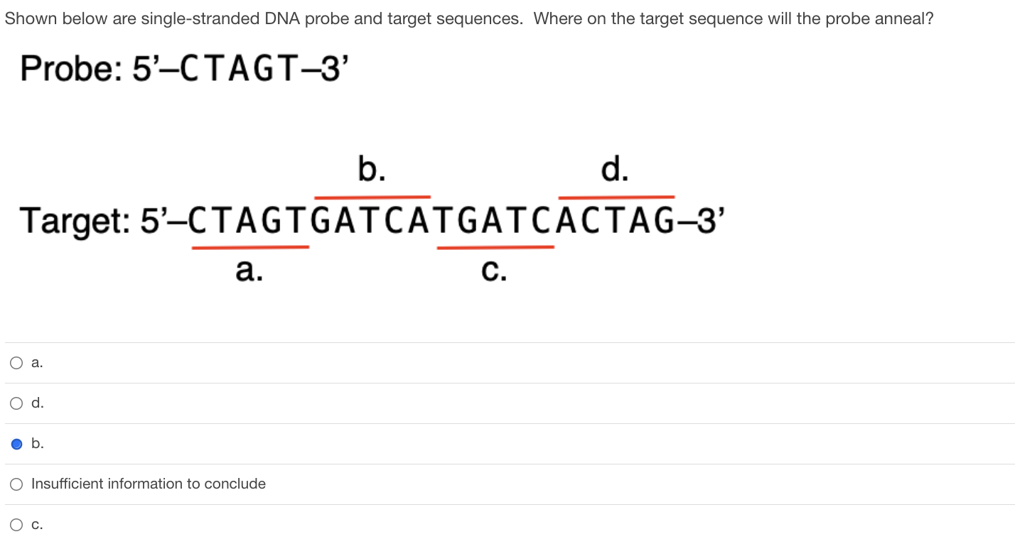 Solved Shown below are single-stranded DNA probe and target | Chegg.com