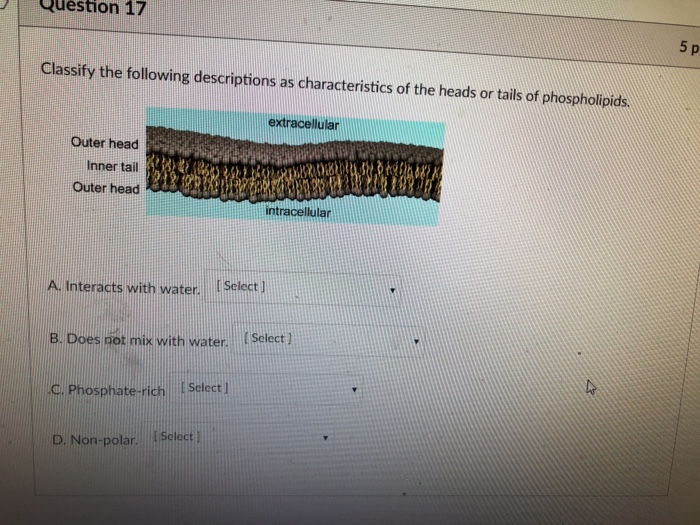 Solved Question 17 5 p Classify the following descriptions | Chegg.com