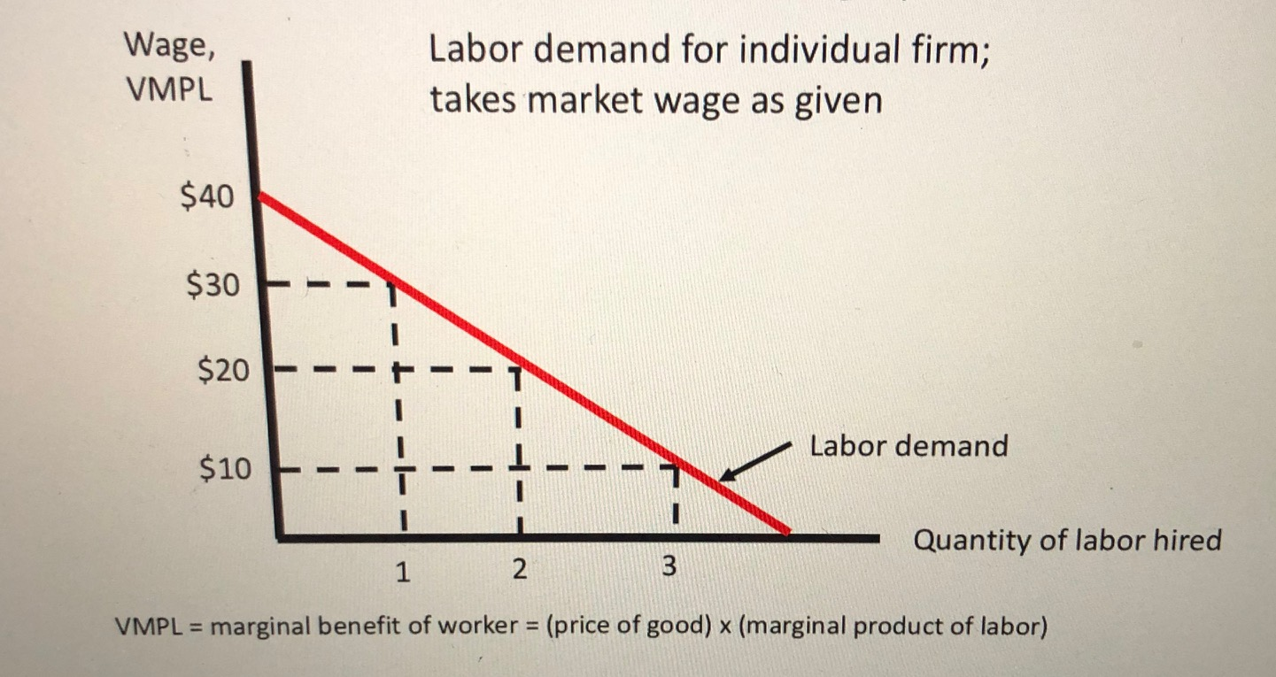 Solved 1. Suppose that the labor demand for an individual | Chegg.com