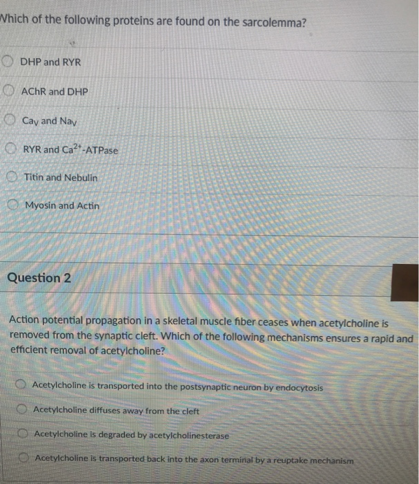 Solved can someone please help me with these im stuck and | Chegg.com