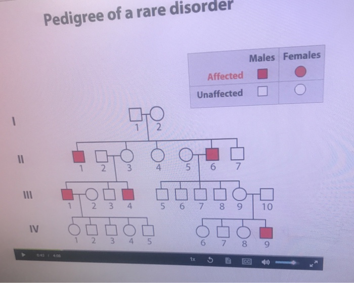 Solved Use the information gathered in the Interoretation of | Chegg.com