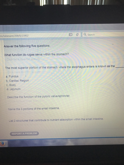 Solved What function do rugae serve within the stomach? The | Chegg.com