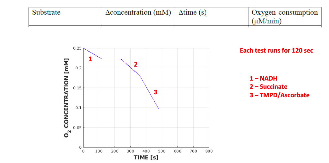 Solved Calculate the velocity of oxygen consumption (mM/min) | Chegg.com