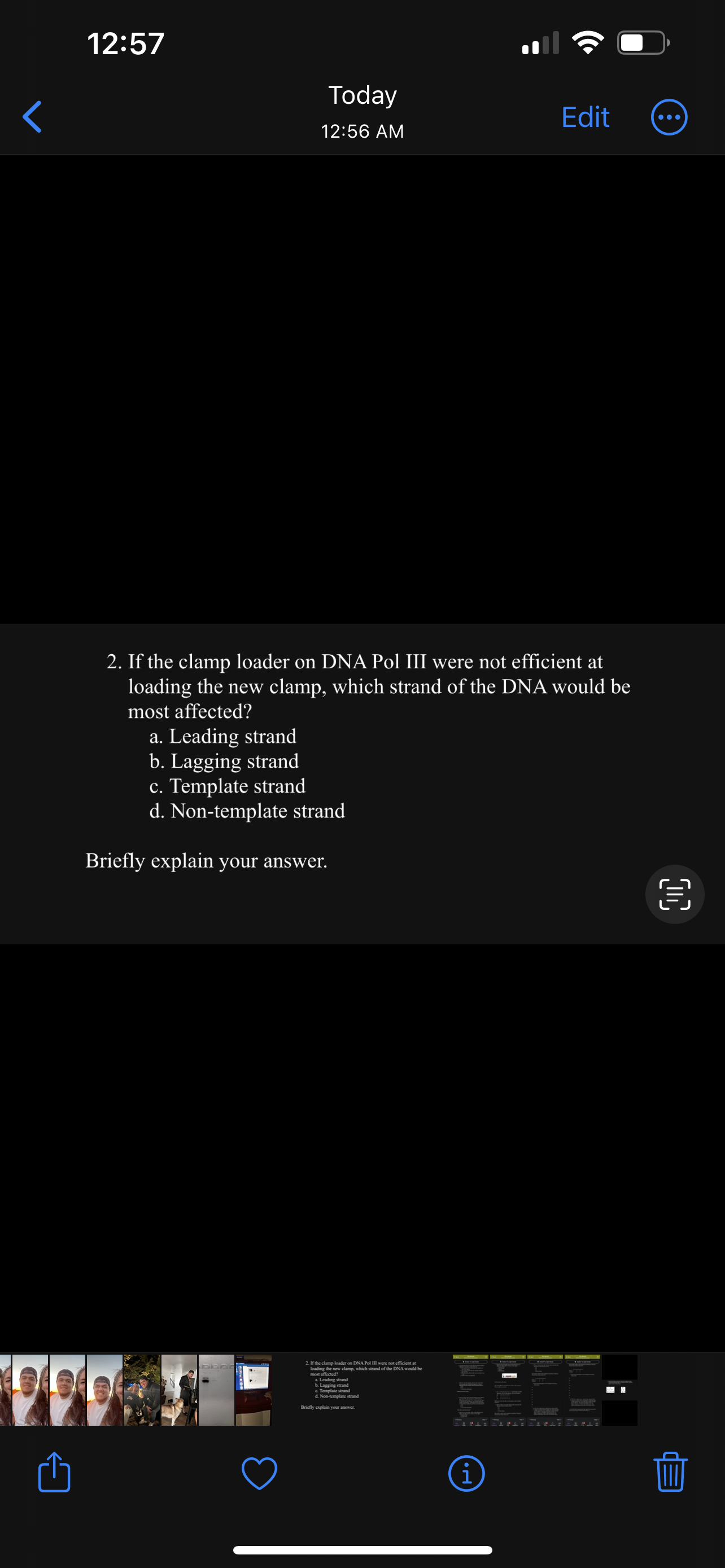 Solved 2. If the clamp loader on DNA Pol III were not | Chegg.com