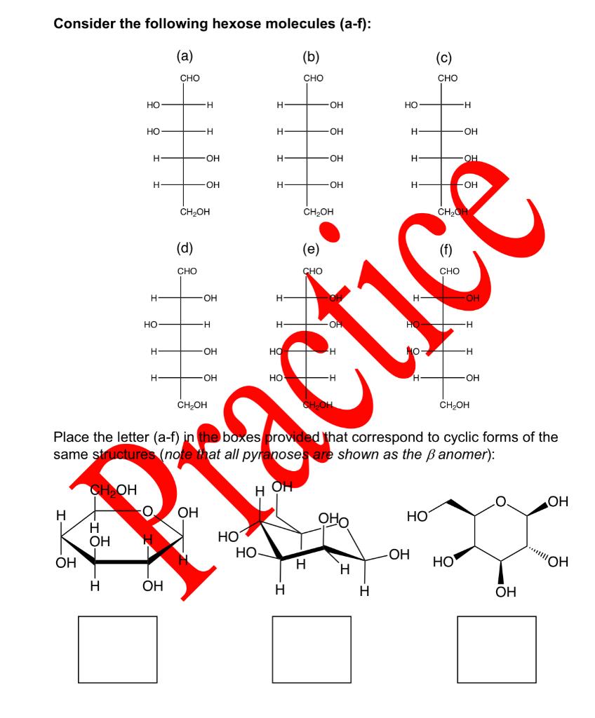 Solved Consider the following hexose molecules (a-f): Place | Chegg.com