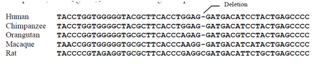 Solved GENE SUITE Lesson B: What Can Pseudogenes Tell Us | Chegg.com