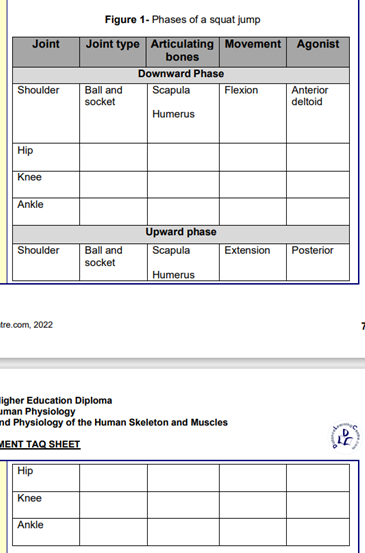 Solved TAQ 4: Assessment criteria 2.3 The focus of this | Chegg.com Solved TAQ 4: Assessment criteria 2.3 The focus of this | Chegg.com