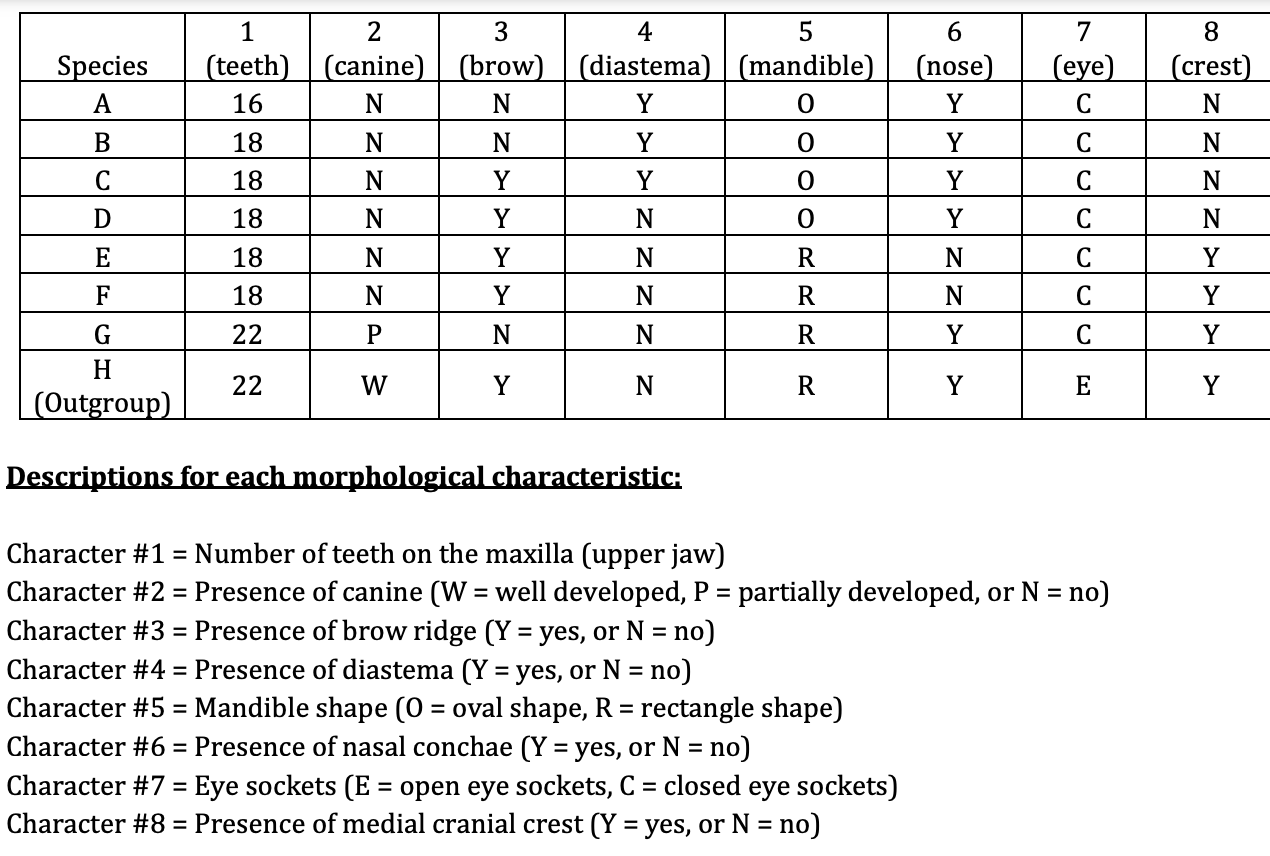 You are a paleontologist attempted to reconstruct a | Chegg.com
