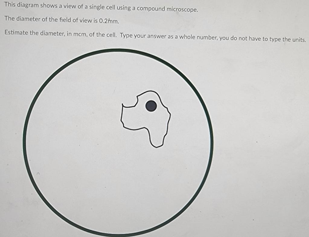 Solved This diagram shows a view of a single cell using a | Chegg.com
