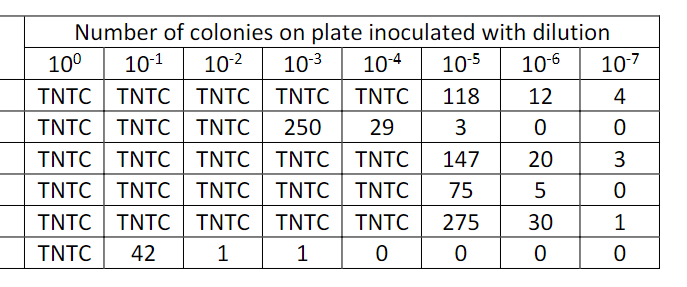 Solved Calculate the CFU's for each of the 6 bacteria | Chegg.com