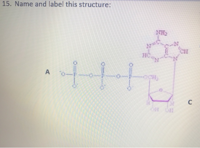 Solved 15. Name and label this structure: NHO OCH | Chegg.com