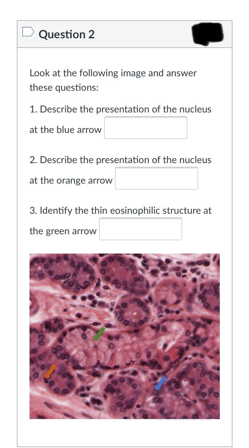 Solved Question 3 Look at the following image and answer | Chegg.com
