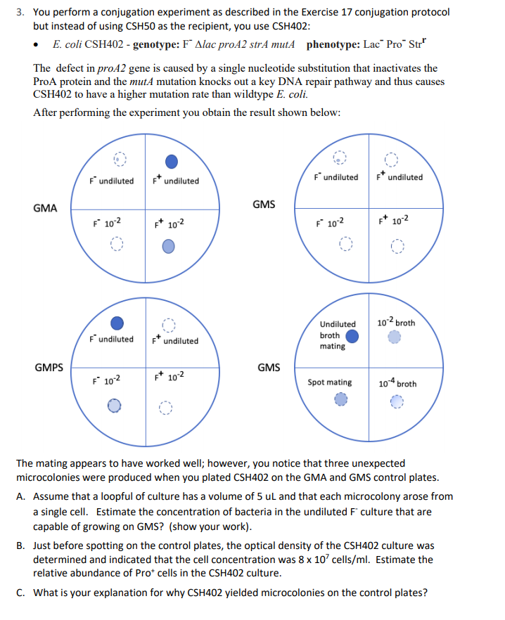 3. You perform a conjugation experiment as described | Chegg.com