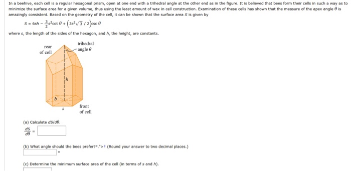 Solved In a beehive, each cell is a regular hexagonal prism, | Chegg.com