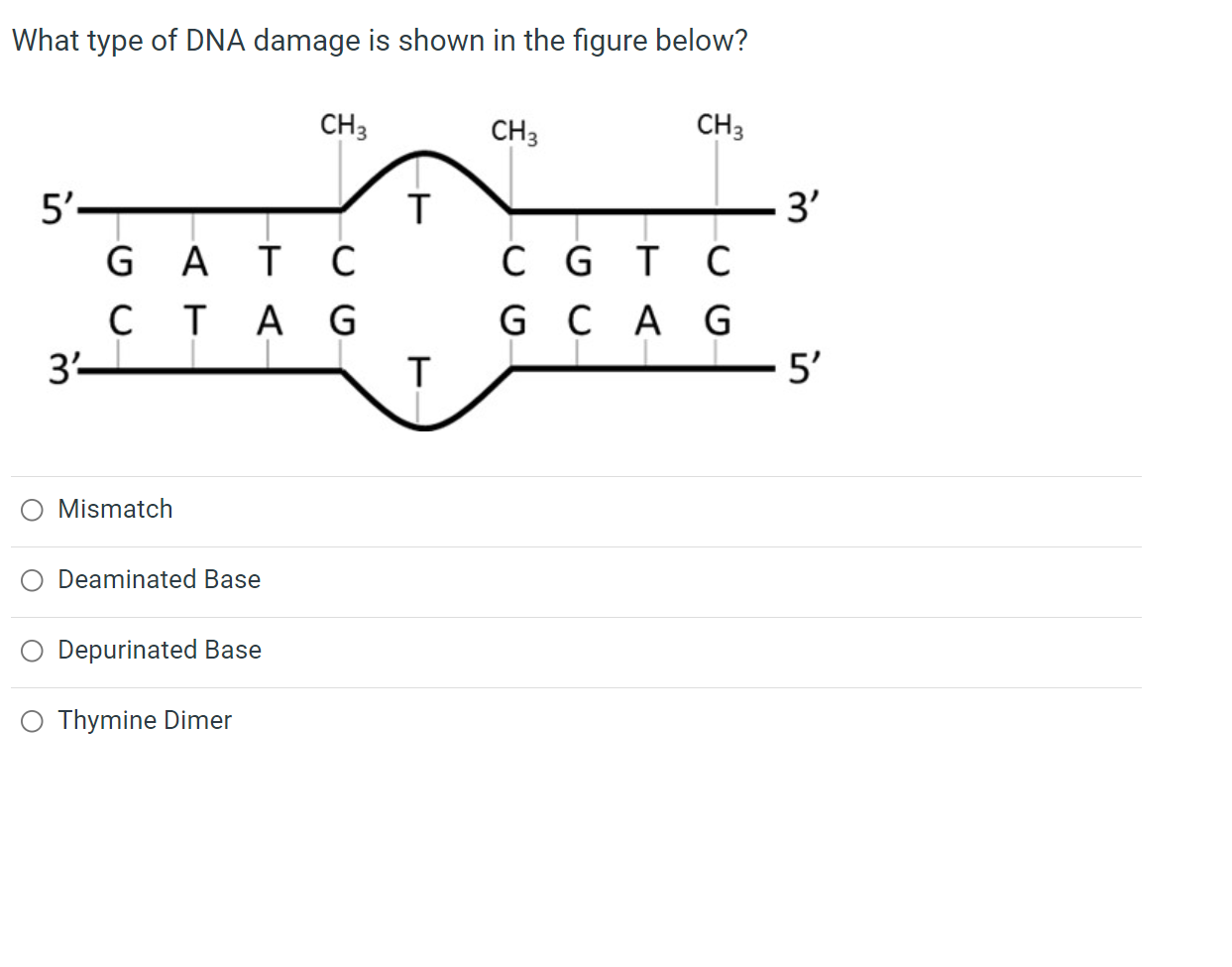 Solved What type of DNA damage is shown in the figure below? | Chegg.com