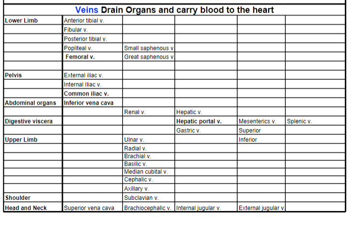 Solved 2. Using your vessel list label all vein figures | Chegg.com