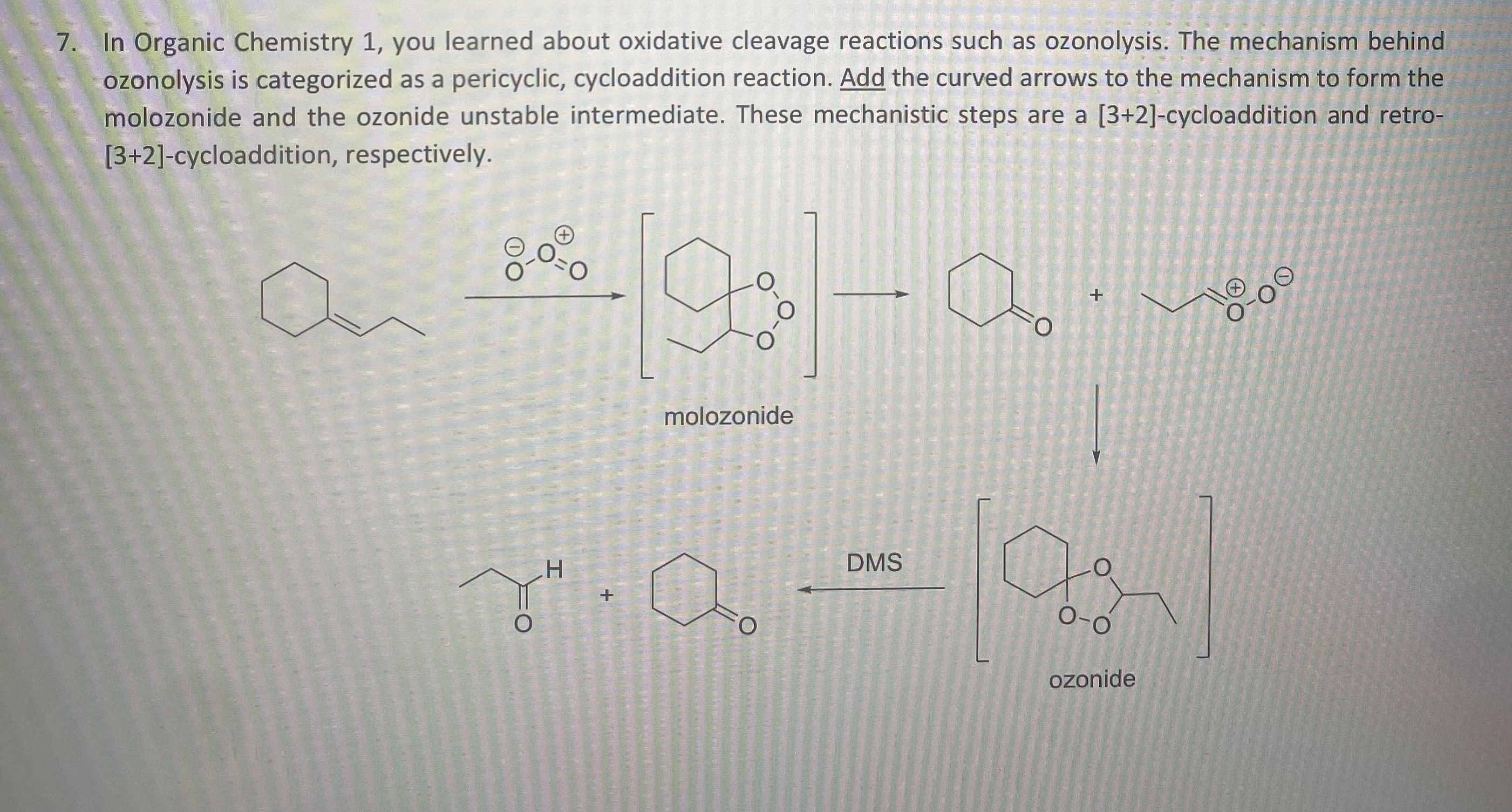 Solved In Organic Chemistry 1 , you learned about oxidative | Chegg.com