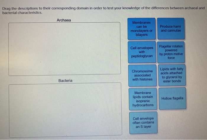 Solved Drag the descriptions to their corresponding domain | Chegg.com