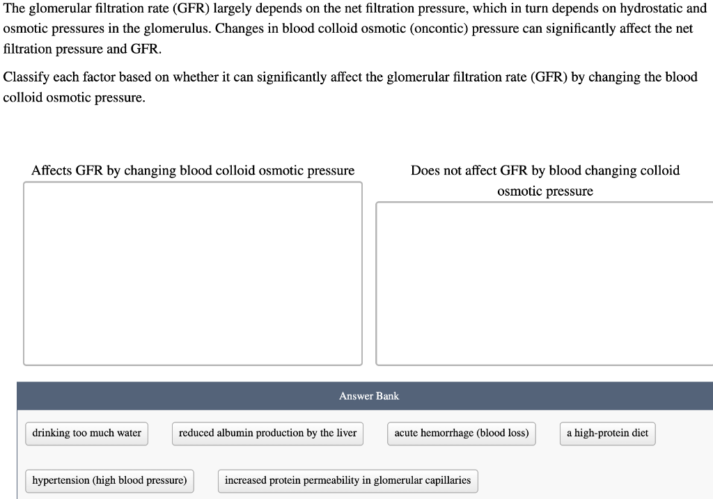 Solved The glomerular filtration rate (GFR) largely depends | Chegg.com