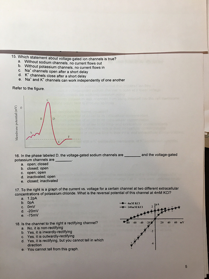 Solved 15. Which statement about voltage-gated ion channels | Chegg.com