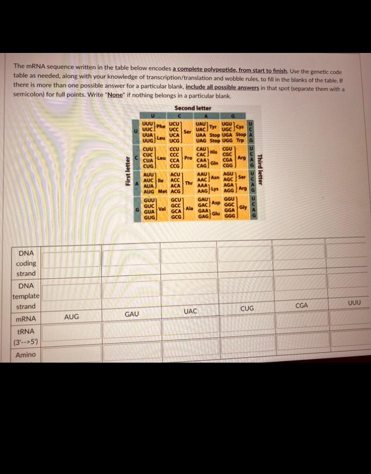 Solved The mRNA sequence written in the table below encodes | Chegg.com