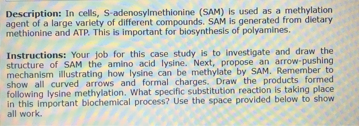 Solved Description: In cells, S-adenosylmethionine (SAM) is | Chegg.com