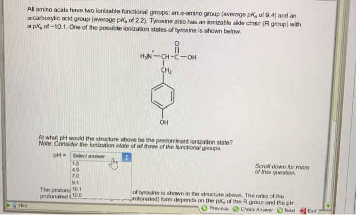 Solved All amino acids have two ionizable functional groups: | Chegg.com
