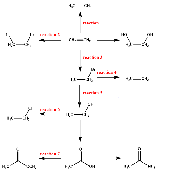Solved Information on each of the 7 reactions shown in the | Chegg.com