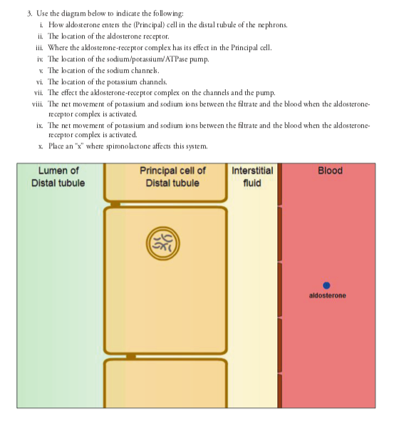 Solved Use the diagram below to indicate the following: How | Chegg.com