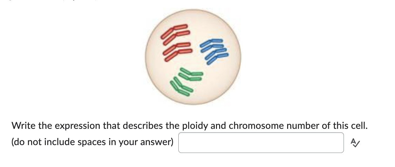 Solved Write the expression that describes the ploidy and | Chegg.com