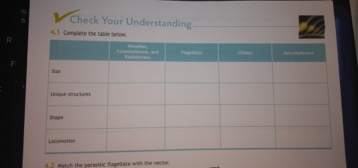 Solved Check Your Understanding 4.1 Complete the table | Chegg.com