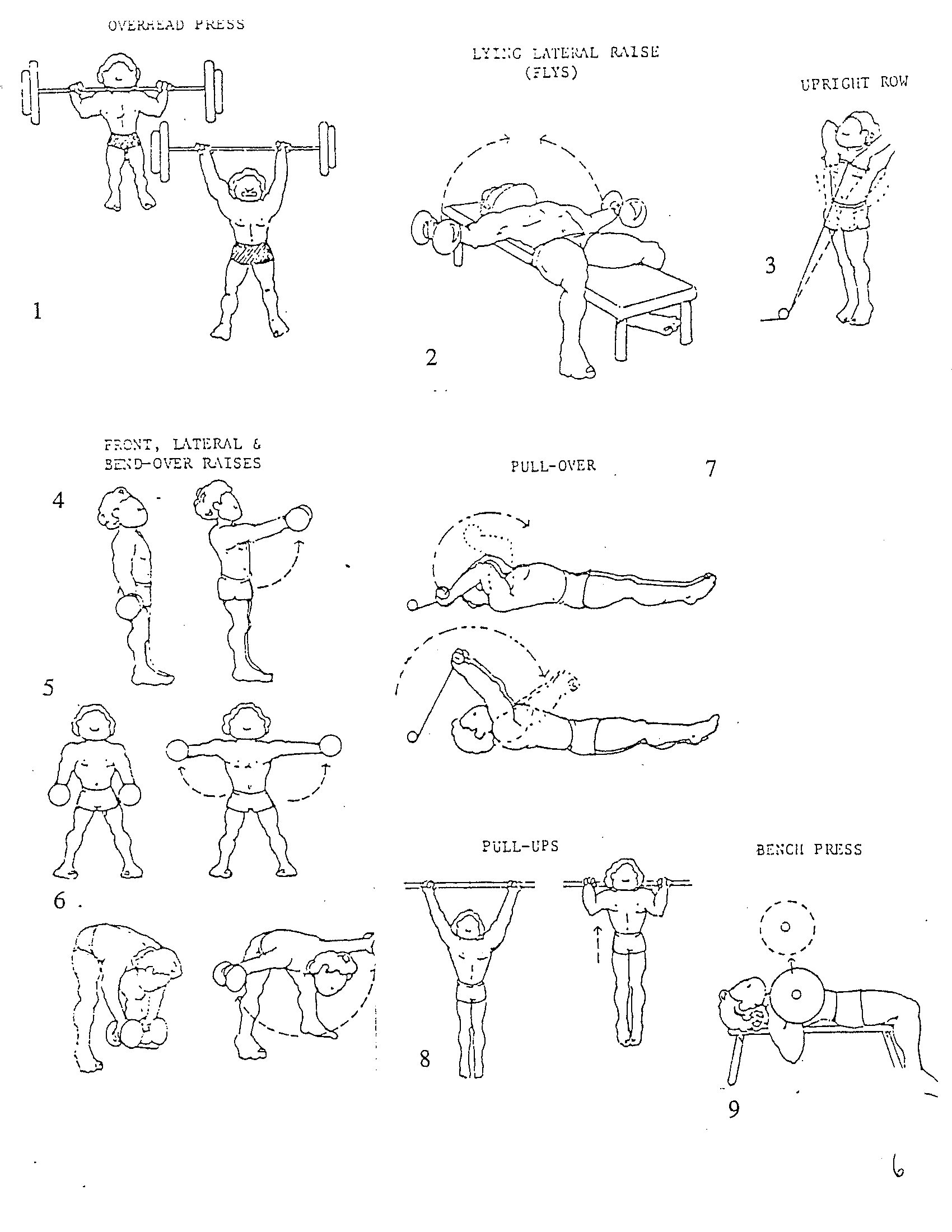 OVEREAT YRESS LYZ:C IATLUAL RNISE (ZLYS) UPRIGIIT ROW | Chegg.com