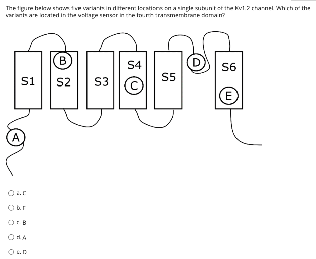 Solved The figure below shows five variants in different | Chegg.com