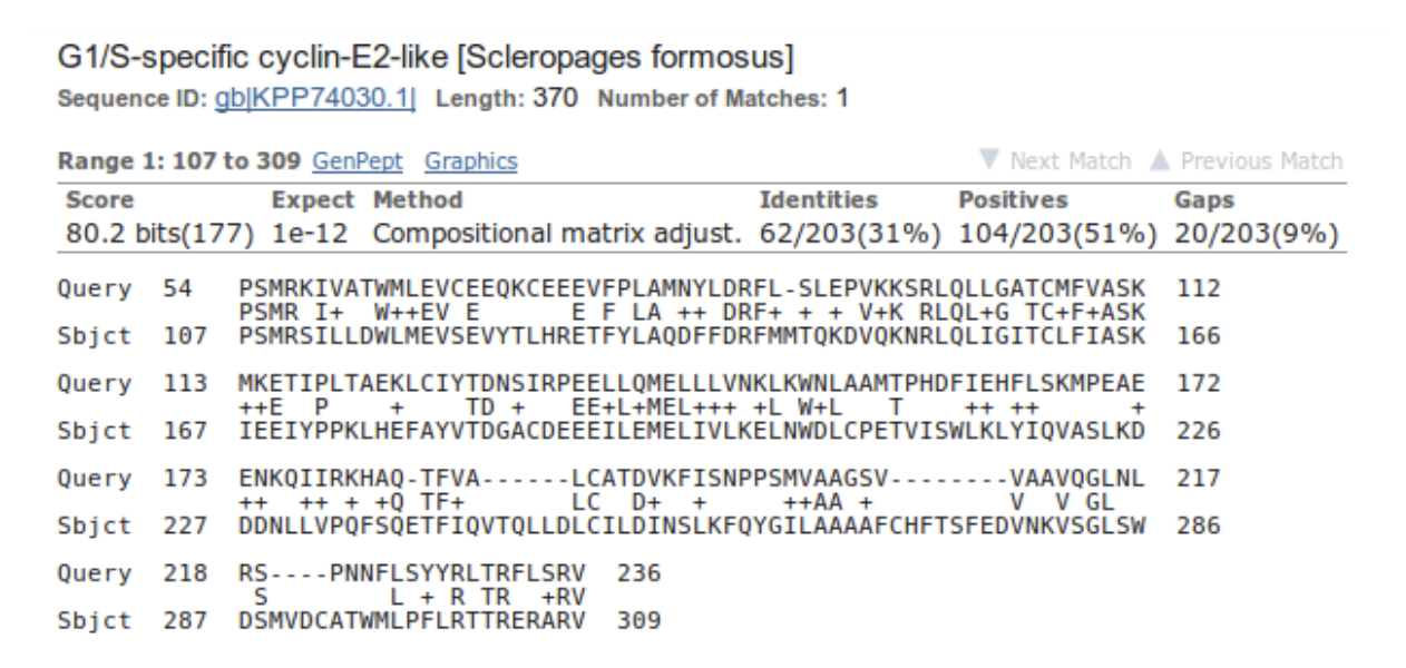 In a blastp seach with human cyclin D1 protein | Chegg.com