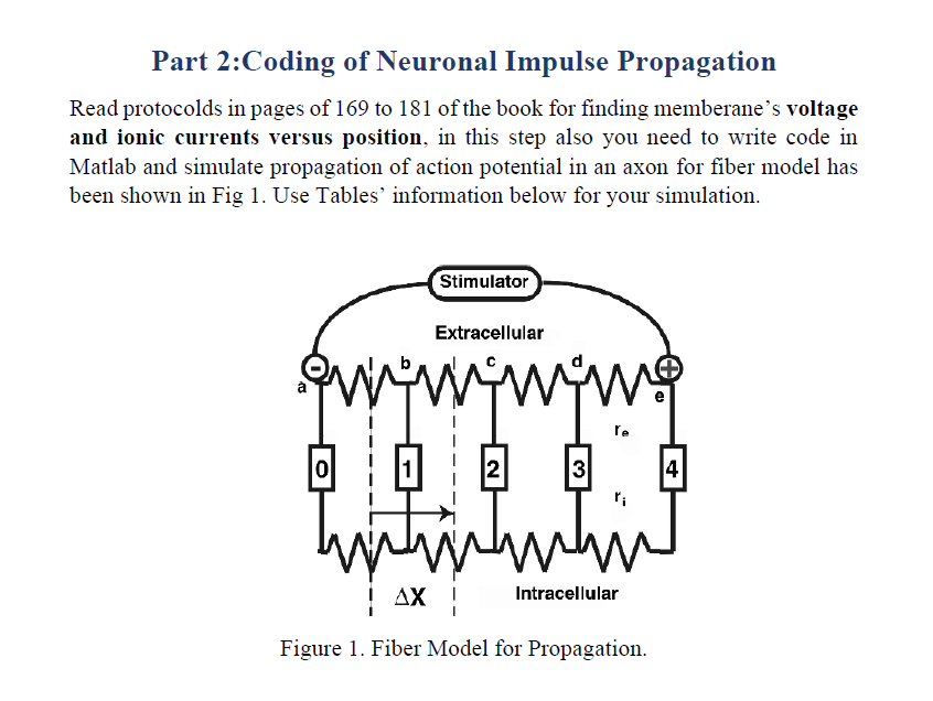 Part 1: Coding of Below and Above Threshold Neuronal | Chegg.com