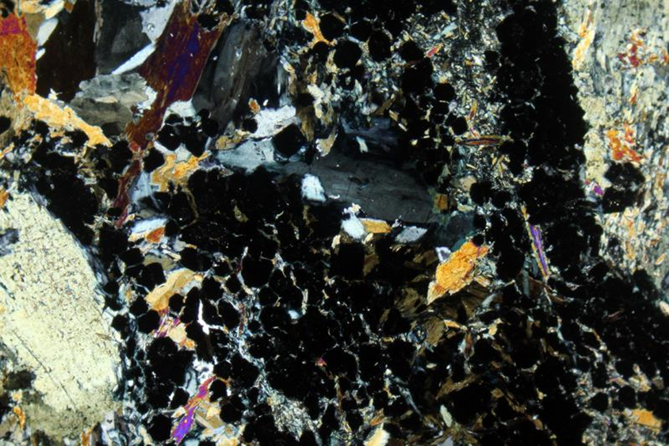 Solved Pelitic protolith (series A): greenschist, | Chegg.com