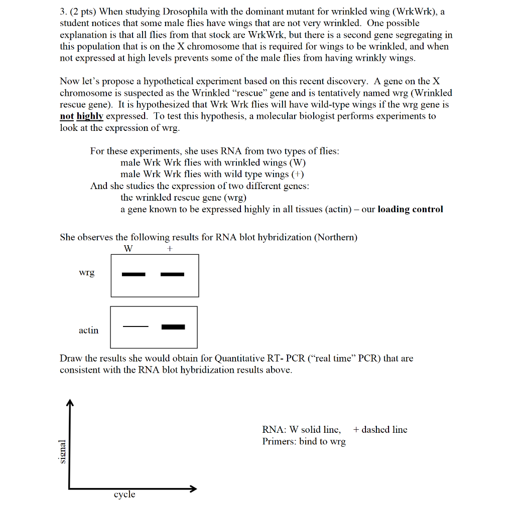 Solved 2. Two molecular geneticists are cloning genes using | Chegg.com