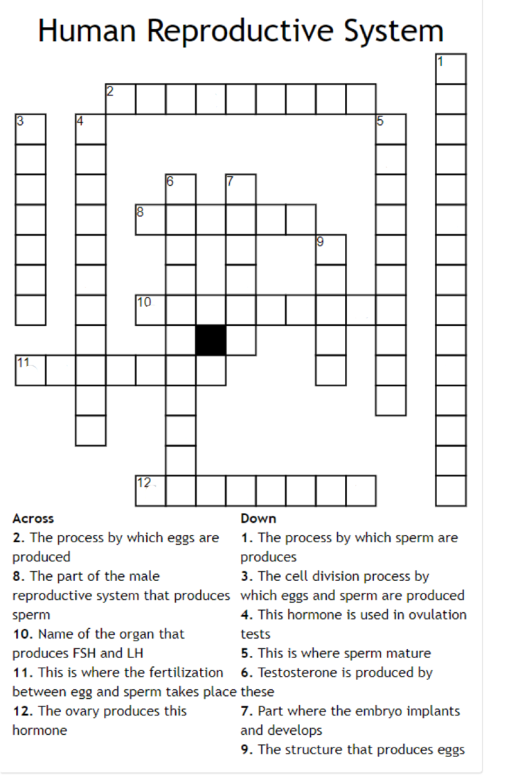 Solved Human Reproductive System Across 2. The process by | Chegg.com