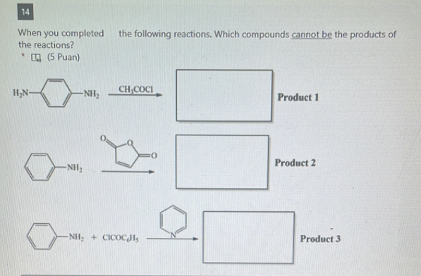 Solved When you completed the following reactions. Which | Chegg.com