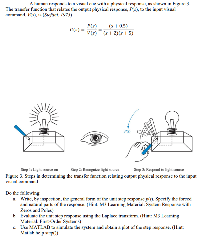 Solved A human responds to a visual cue with a physical | Chegg.com