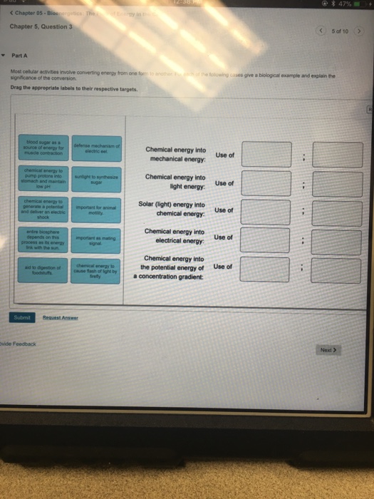 Solved Most cellular activities invoke converting energy | Chegg.com