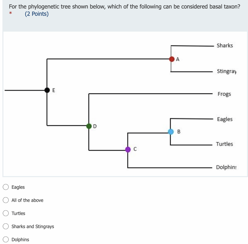 Solved For the phylogenetic tree shown below, which node | Chegg.com