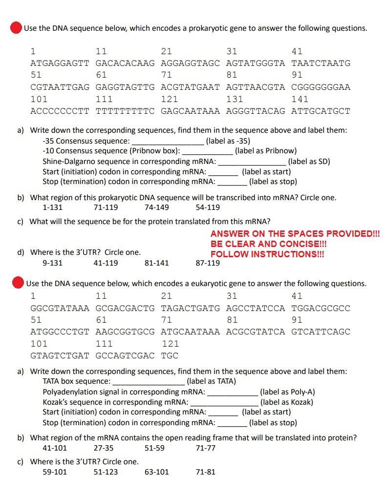 Solved Use the DNA sequence below, which encodes a | Chegg.com