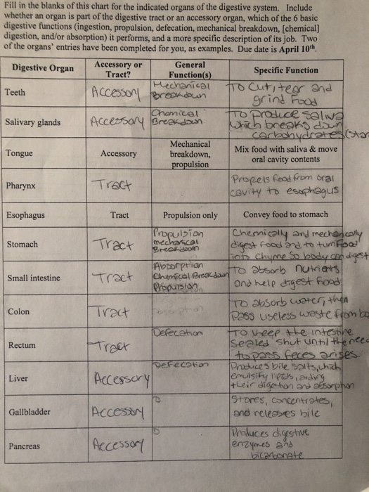 Solved Fill in the blanks of this chart for the indicated | Chegg.com