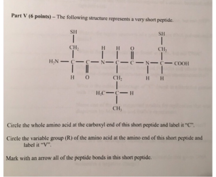 Solved Part V (6 points) - The following structure | Chegg.com