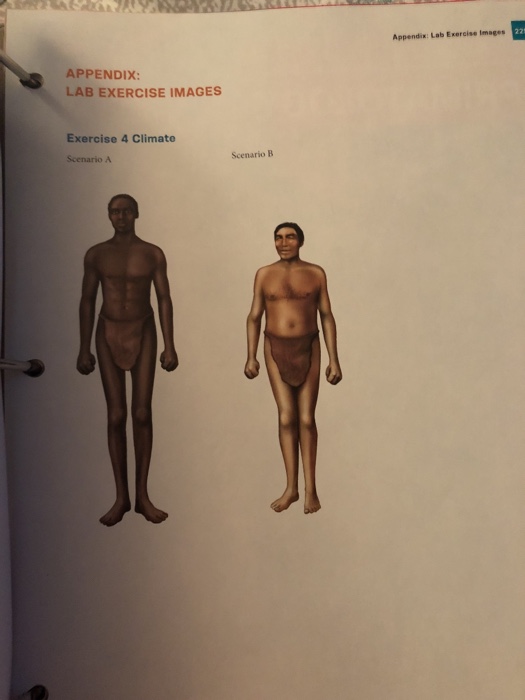 Solved Appendix: Lab Exercise images APPENDIX LAB EXERCISE | Chegg.com